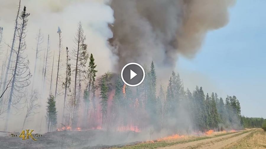 Alberta: Wildfire update Monday May 15 trees swept by flames 5-15-2023