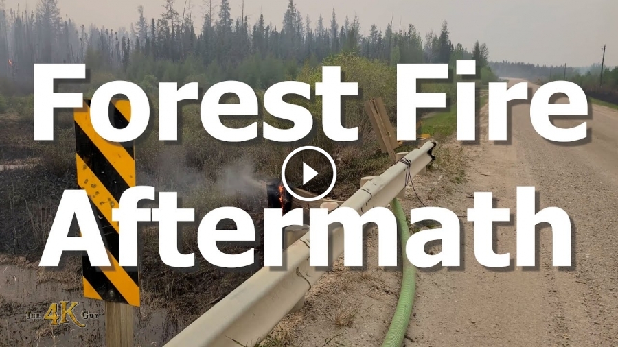 Niton Junction: Death and despair after the passage of a wildfire 5-20-2023